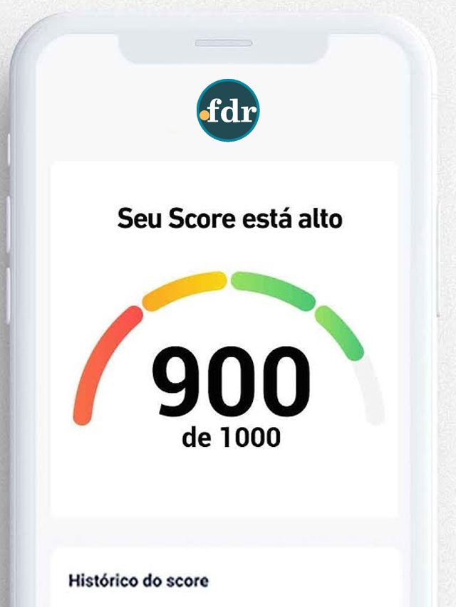 Dicas atualizadas para conseguir pontuação 1000 no SCORE do Serasa » FDR